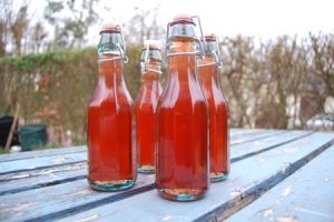 Nettle Cordial Recipe : A Springtime Glass of Heaven