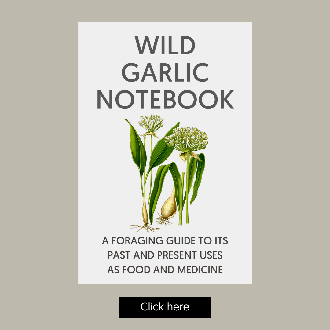 Wild Garlic in Oil Recipe - The Ultimate Salad Drizzle Experience