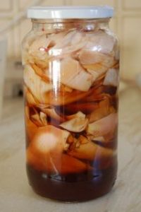 Pickled Magnolia Flowers – Robin Harford from Eatweeds