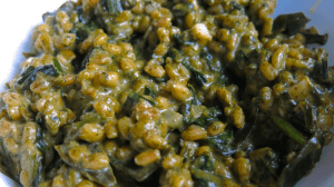 Nettle & Barley Risotto – Robin Harford from Eatweeds