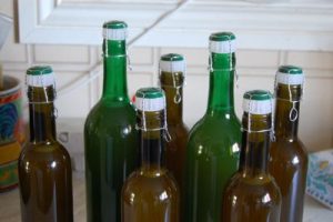 Traditional 1930’s Stinging Nettle Beer Recipe - Eatweeds by Robin Harford