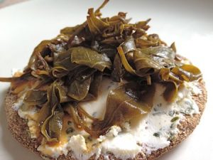 Sea Purslane Pickle – Robin Harford from Eatweeds