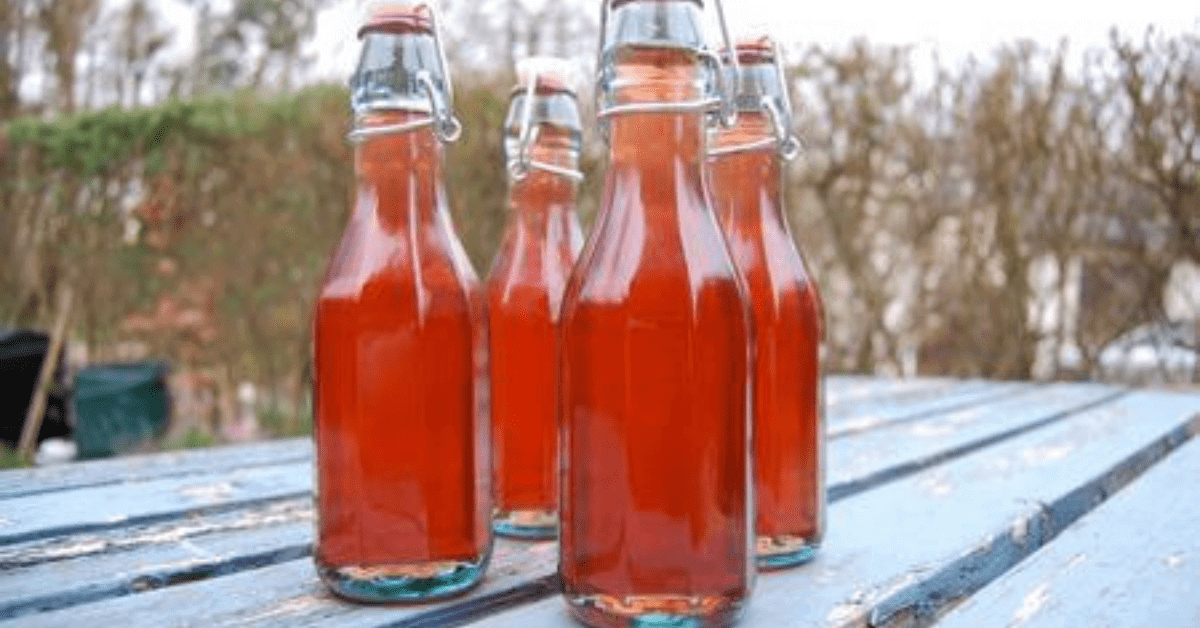 Nettle Cordial Recipe : A Springtime Glass of Heaven